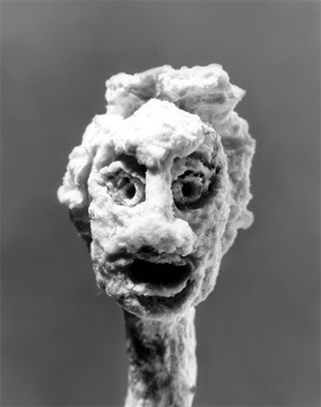 Joshua Stern: Spitball Portraits | CollabCubed