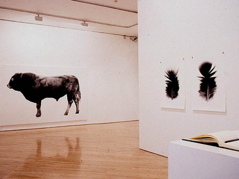 Jonathan Delafield Cook: Charcoal Drawings | CollabCubed