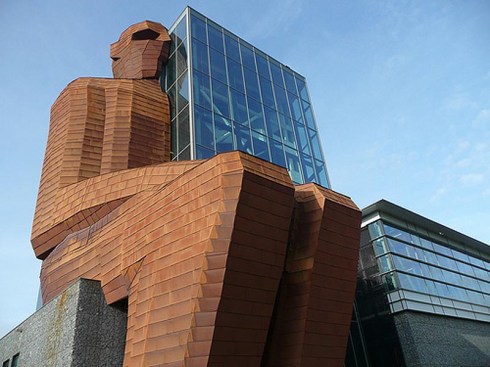 Corpus Museum of the Human Body | CollabCubed